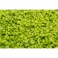 GRAVA COLOR VERDE FOSFORITO 2 KG - AQUAZOOLUX | Tienda de Acuarios de ...